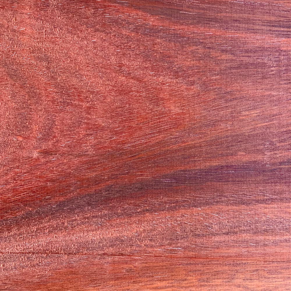 Bloodwood Archives - The WoodSource